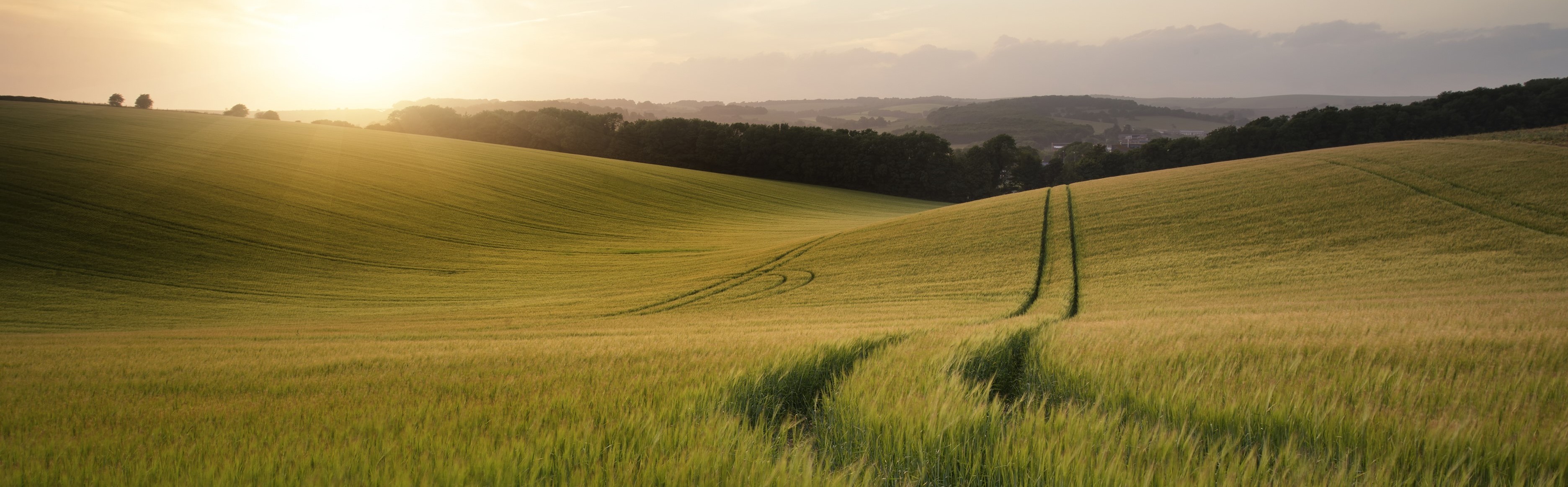 Pittsburg County Treasurer
