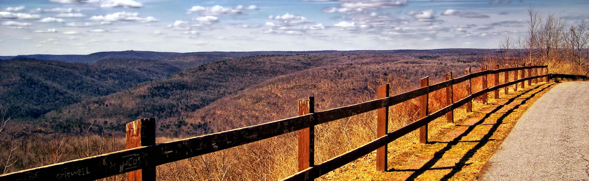 Major County Treasurer